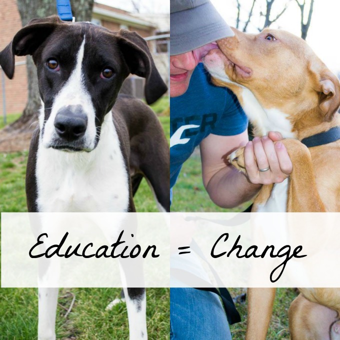 Education Equals Change